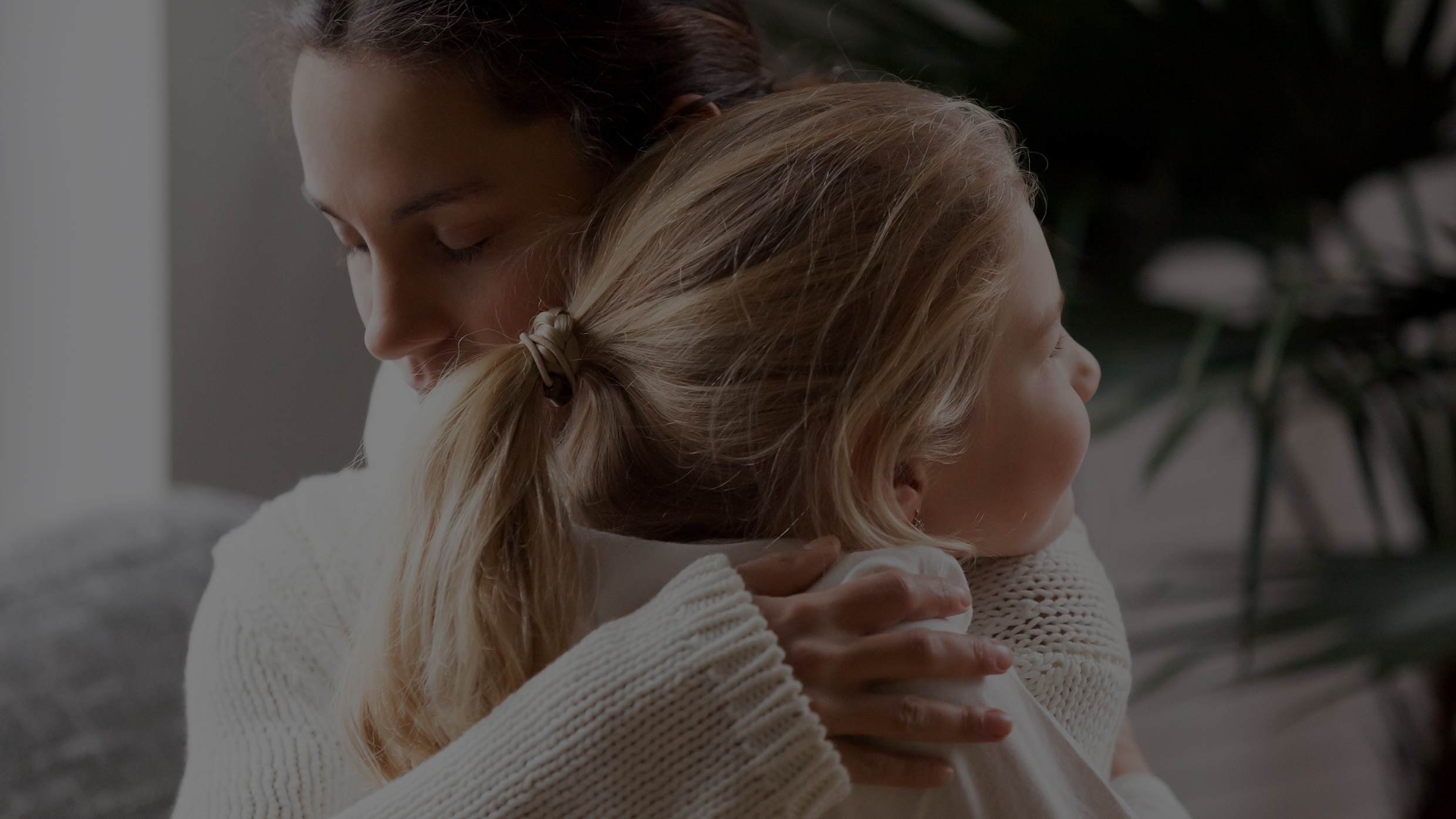 DOLMIO x Foodbank Collaborative Supply Program About Us | DOLMIO®